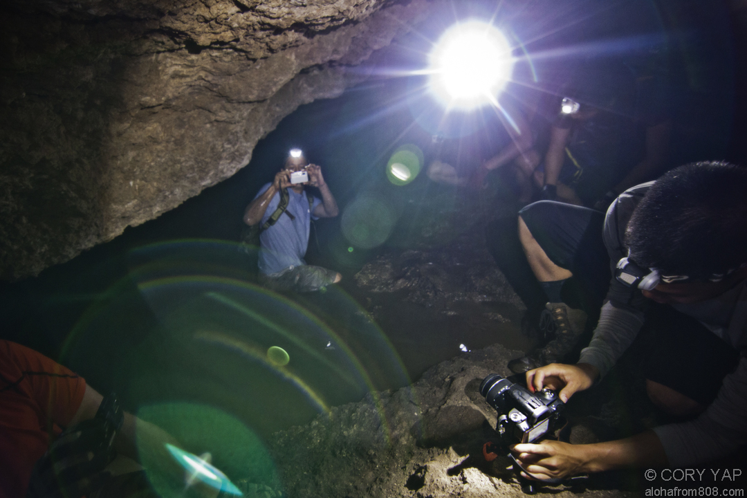 Mōʻiliʻili Karst | Images of Old Hawaiʻi