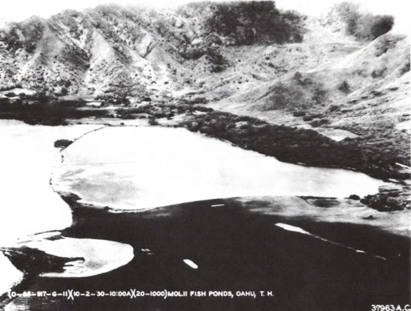 Molii Fishpond-1930-600 | Images of Old Hawaiʻi