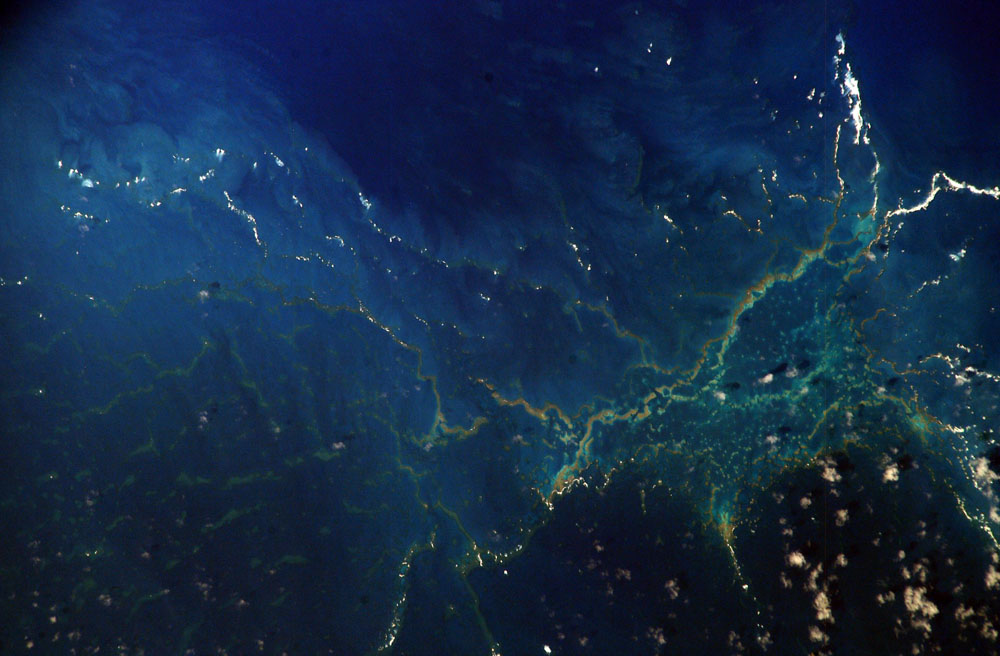 Koʻanakoʻa | Images of Old Hawaiʻi