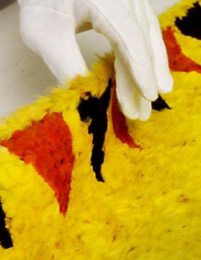 Nāhiʻenaʻena | Images of Old Hawaiʻi