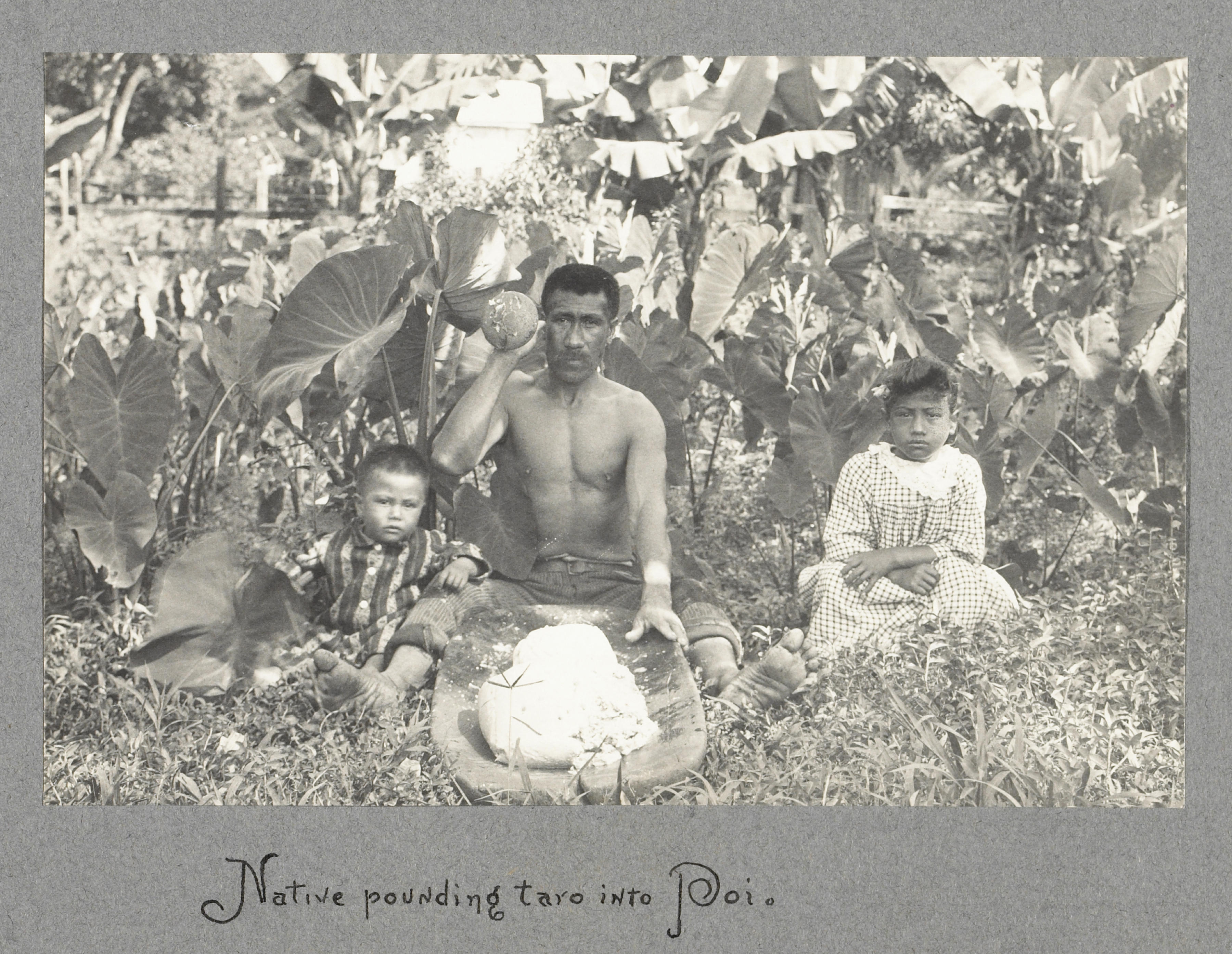 Settlement & Agricultural Development | Images of Old Hawaiʻi
