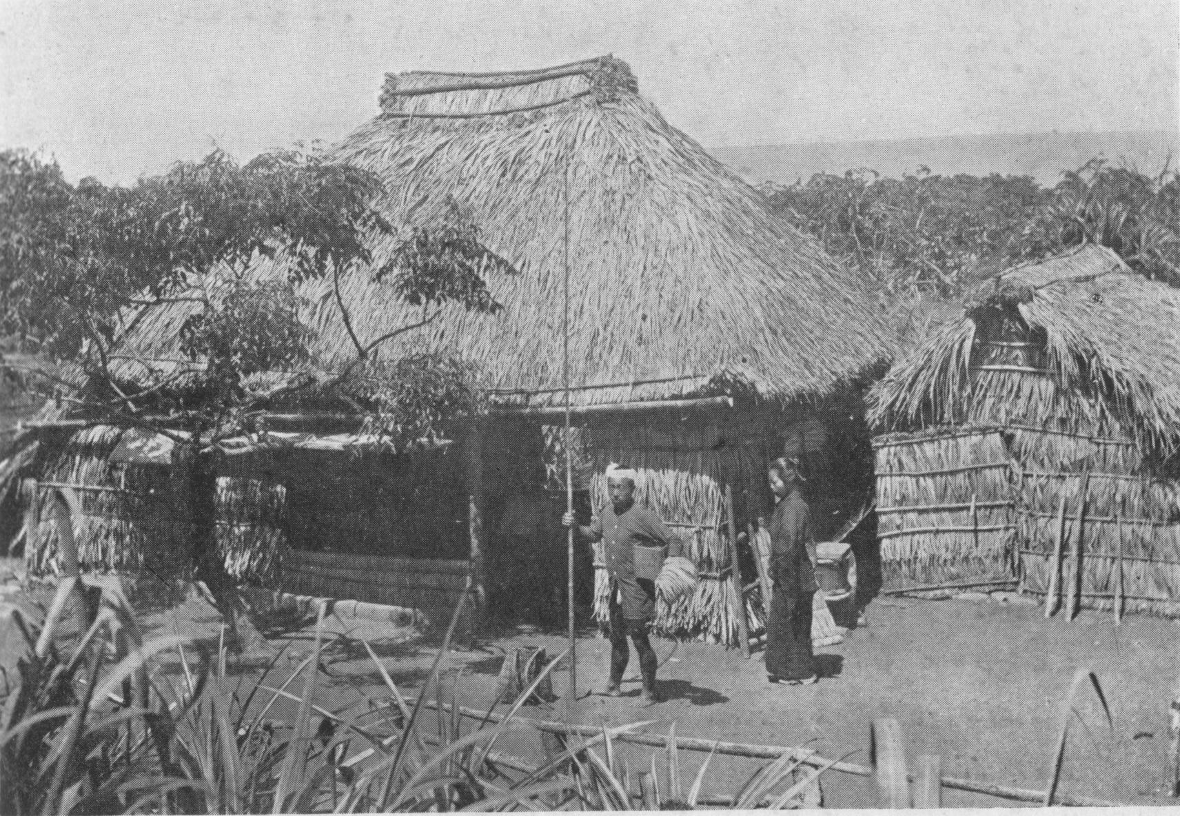 Nathaniel Savory | Images of Old Hawaiʻi