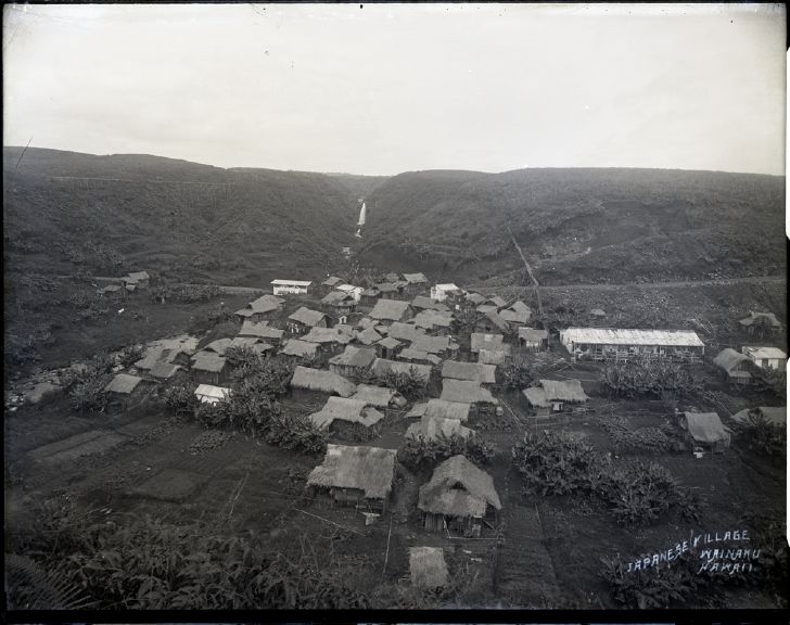 Nikai Camp | Images of Old Hawaiʻi