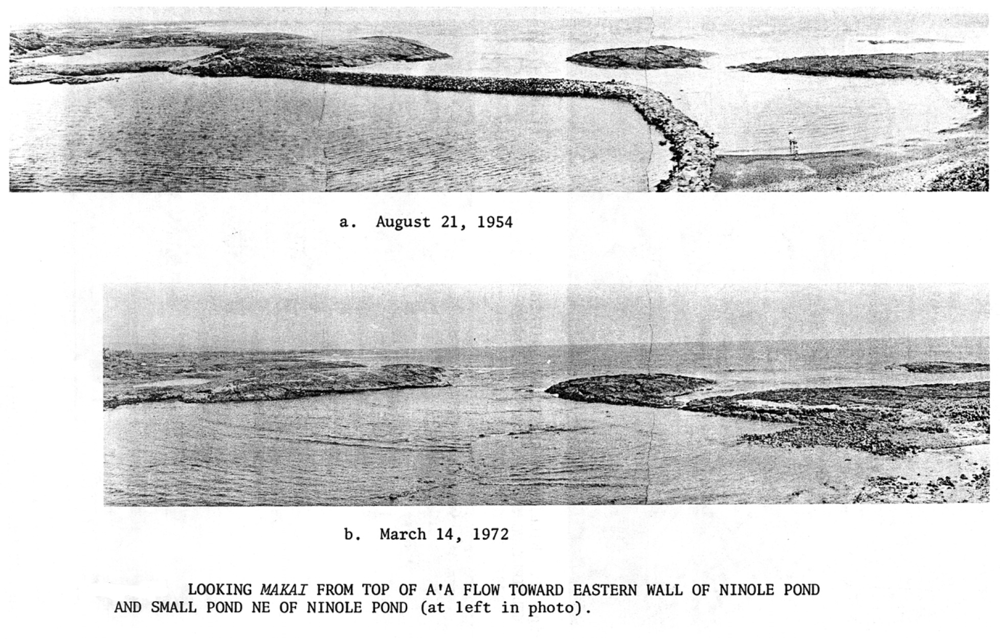 Punaluʻu | Images of Old Hawaiʻi