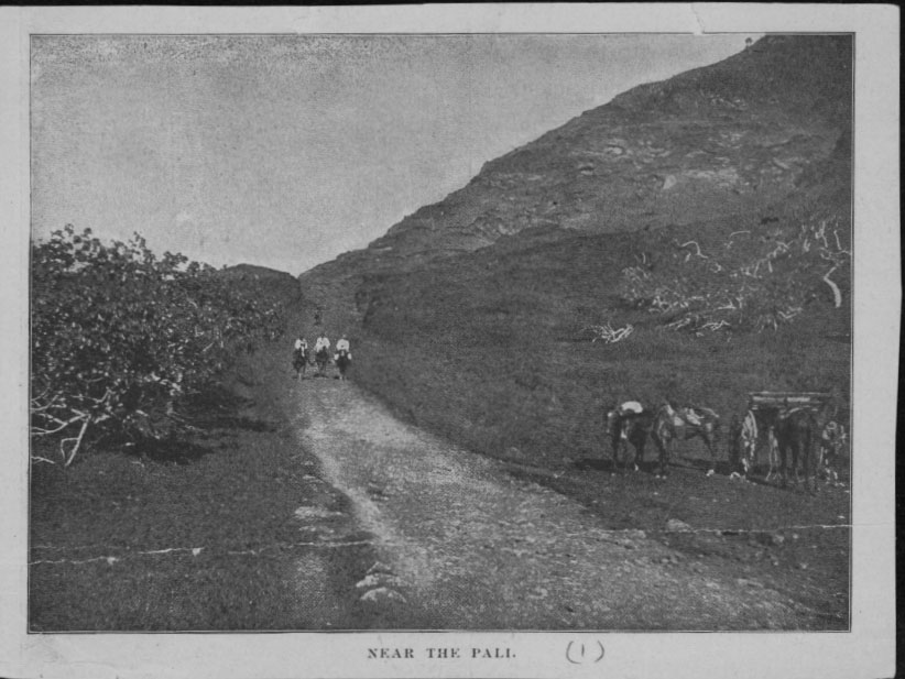 The Pali | Images of Old Hawaiʻi