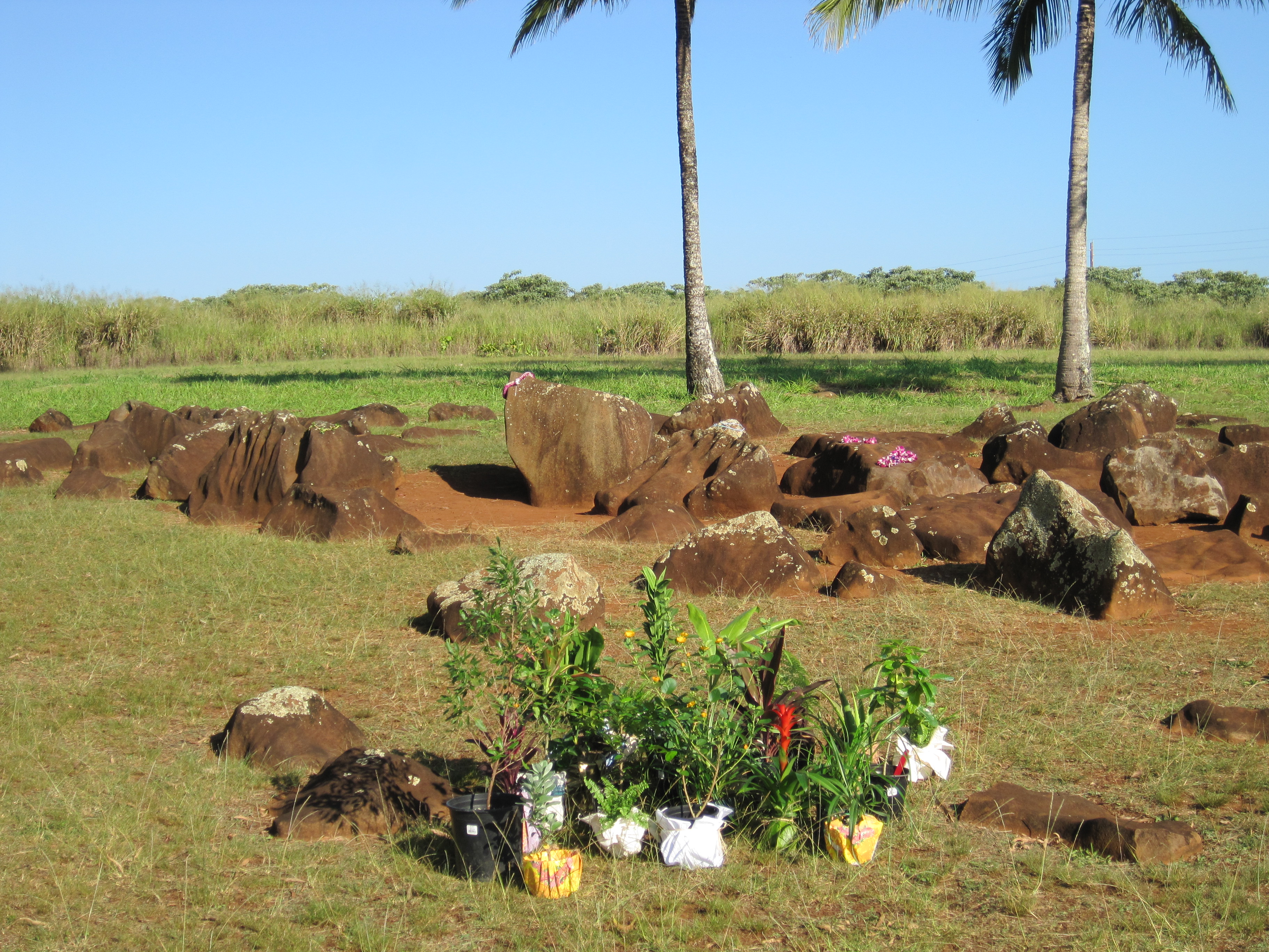 Kūkaniloko Birthstones | Images of Old Hawaiʻi