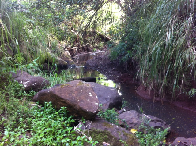 Oʻahunui | Images of Old Hawaiʻi