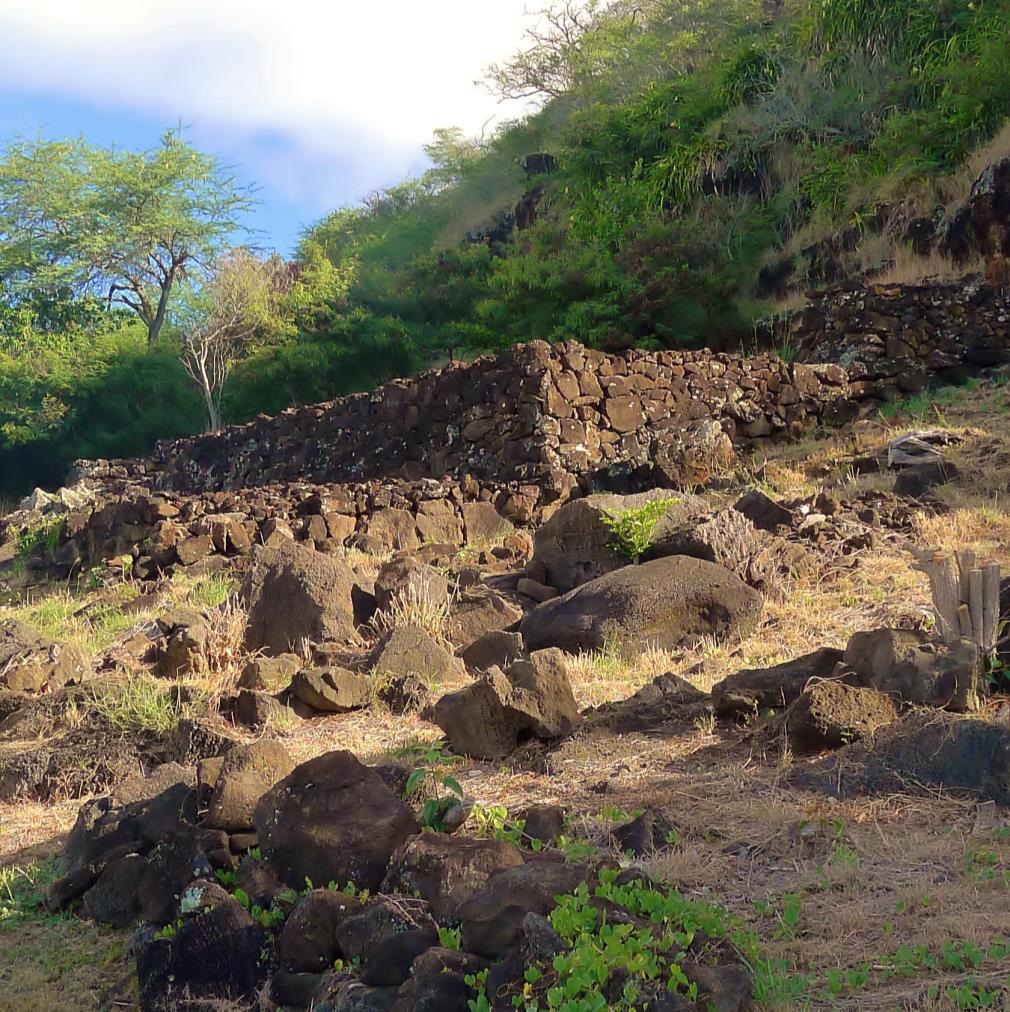 Pahua Heiau | Images of Old Hawaiʻi