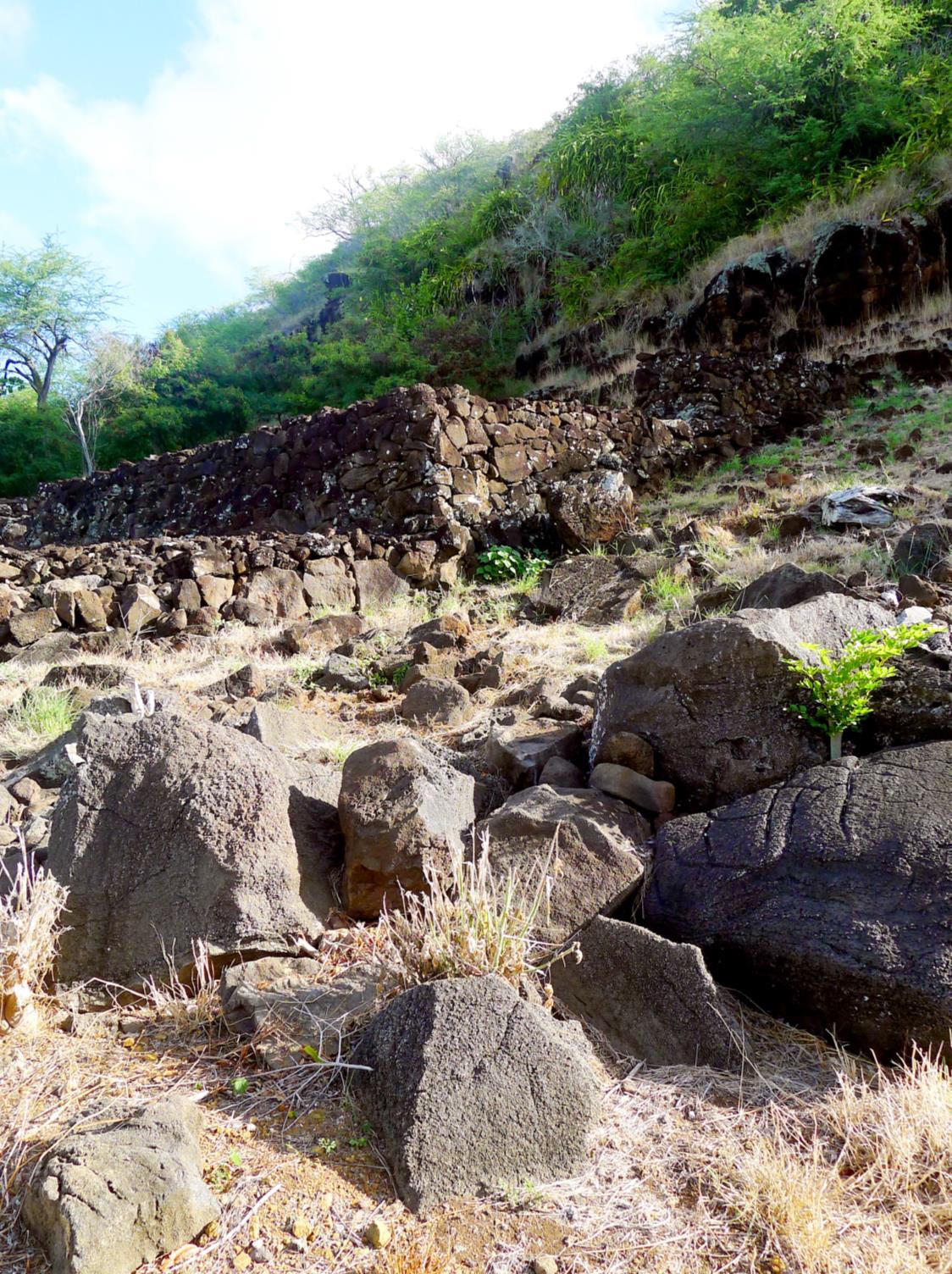Pahua Heiau | Images of Old Hawaiʻi