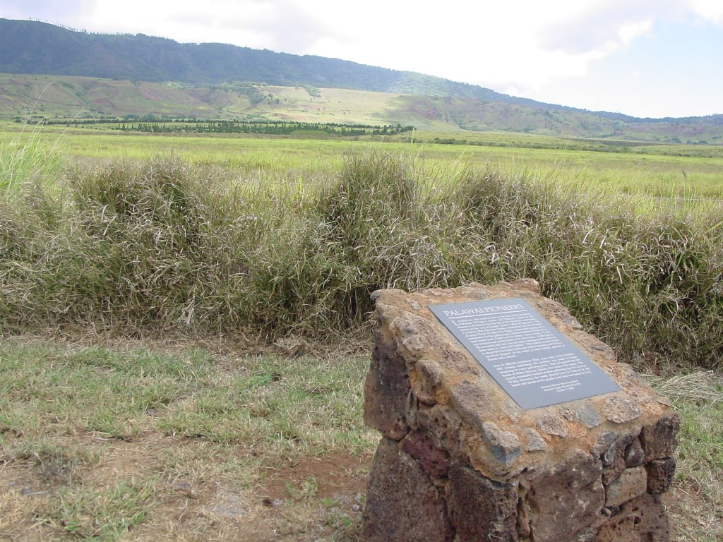 City of Joseph in the Valley of Ephraim | Images of Old Hawaiʻi