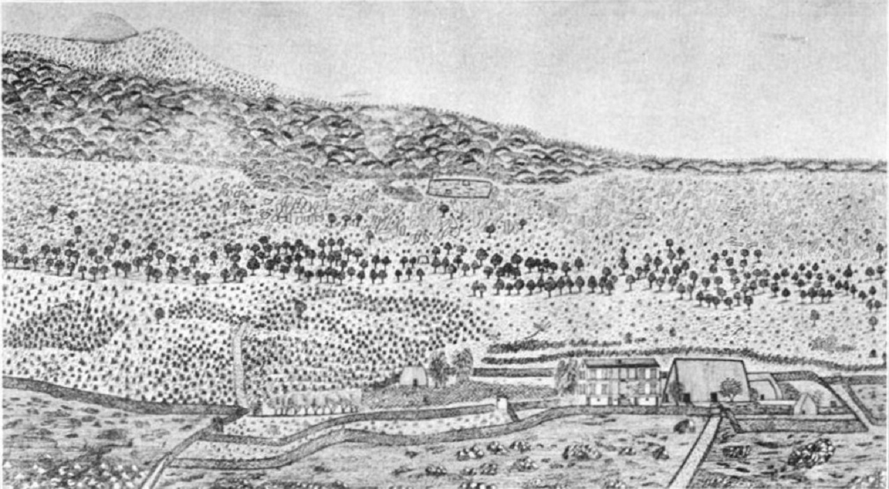 A Day in the Life | Images of Old Hawaiʻi