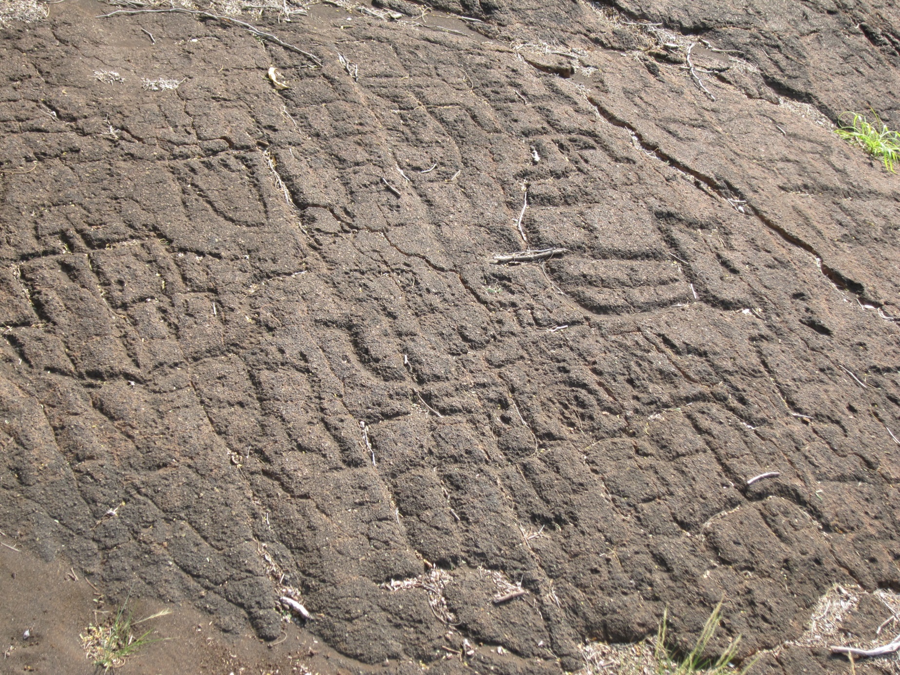 Na Ki‘i Pōhaku | Images of Old Hawaiʻi