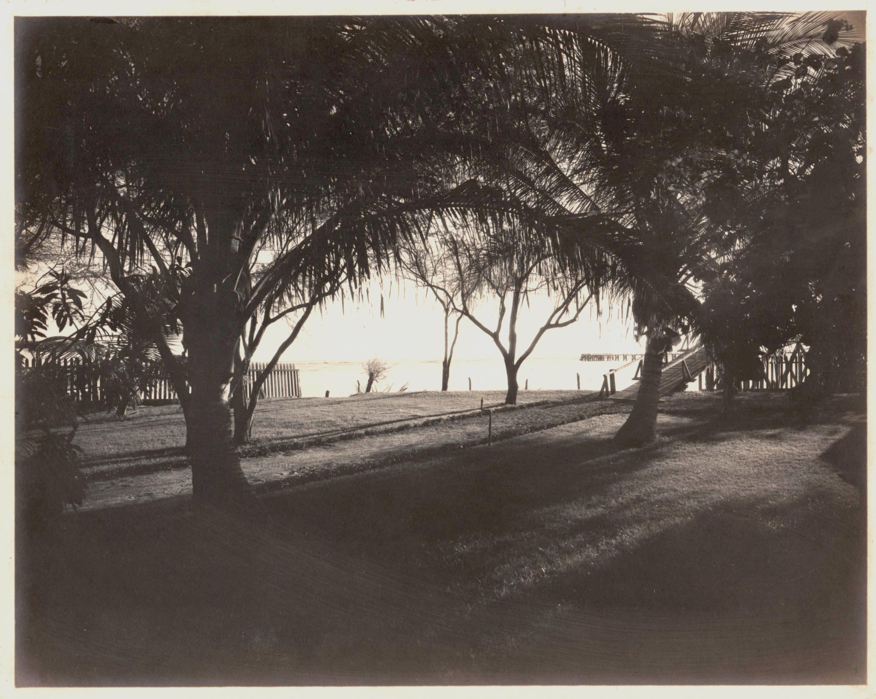 Pierpoint | Images of Old Hawaiʻi