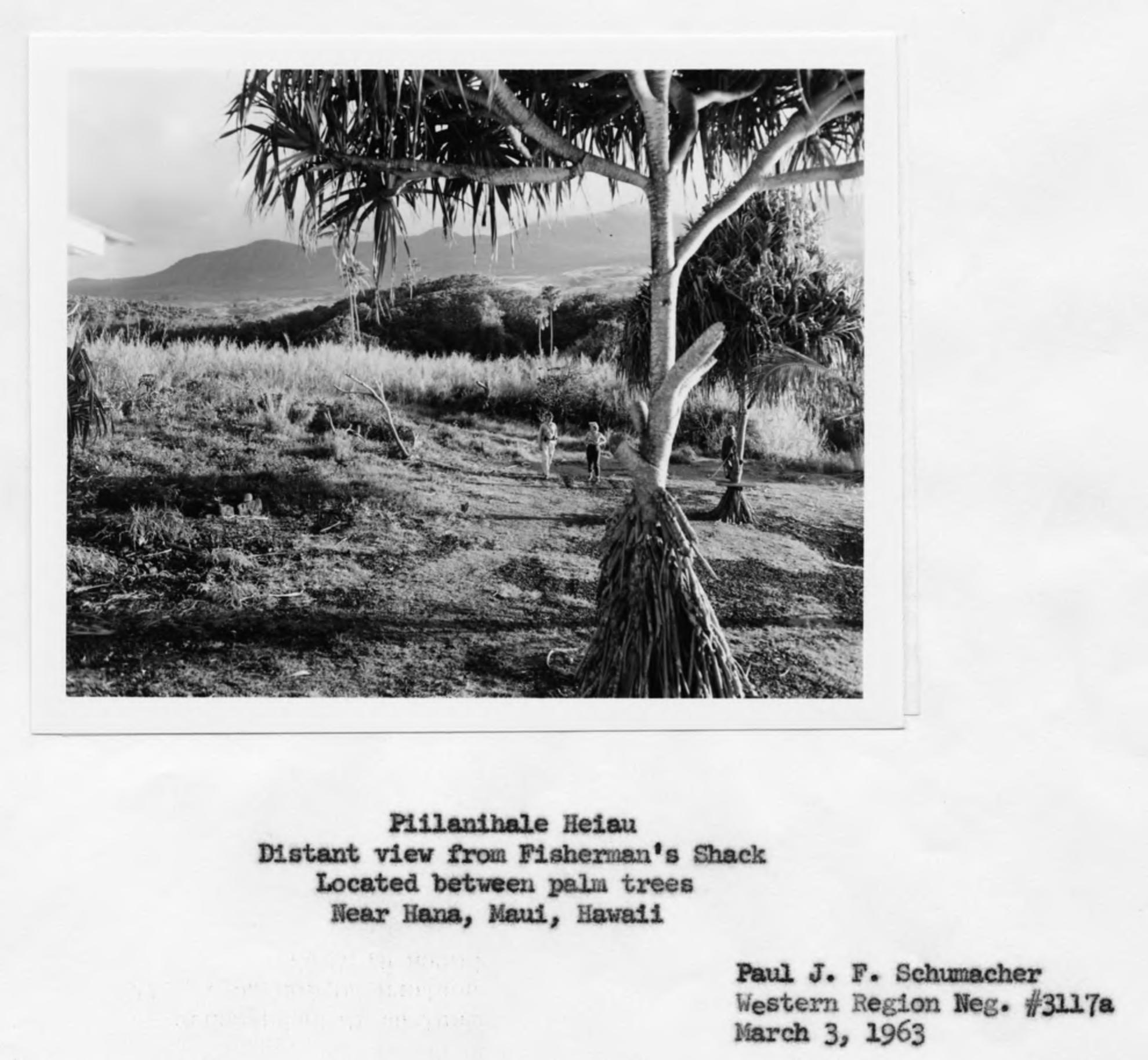 Piʻilanihale Heiau | Images of Old Hawaiʻi
