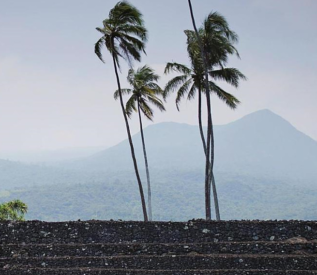 Piʻilanihale Heiau | Images of Old Hawaiʻi