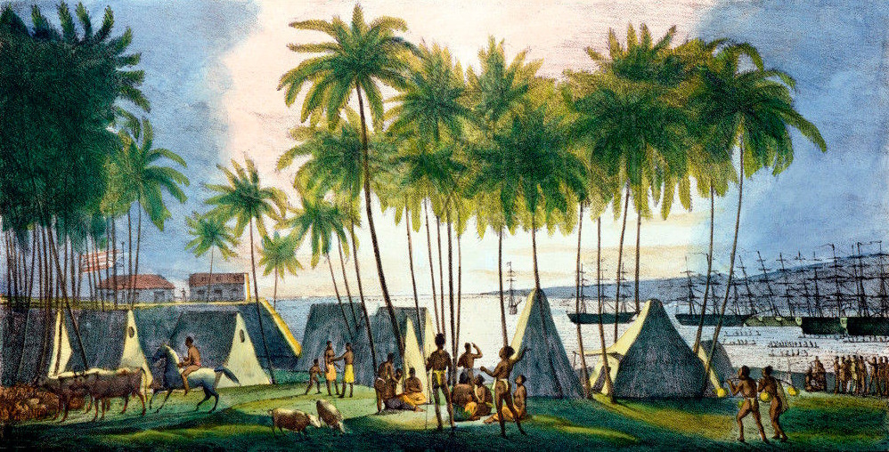 Honolulu Described in the First Decade of the Unified Hawaiian Islands ...