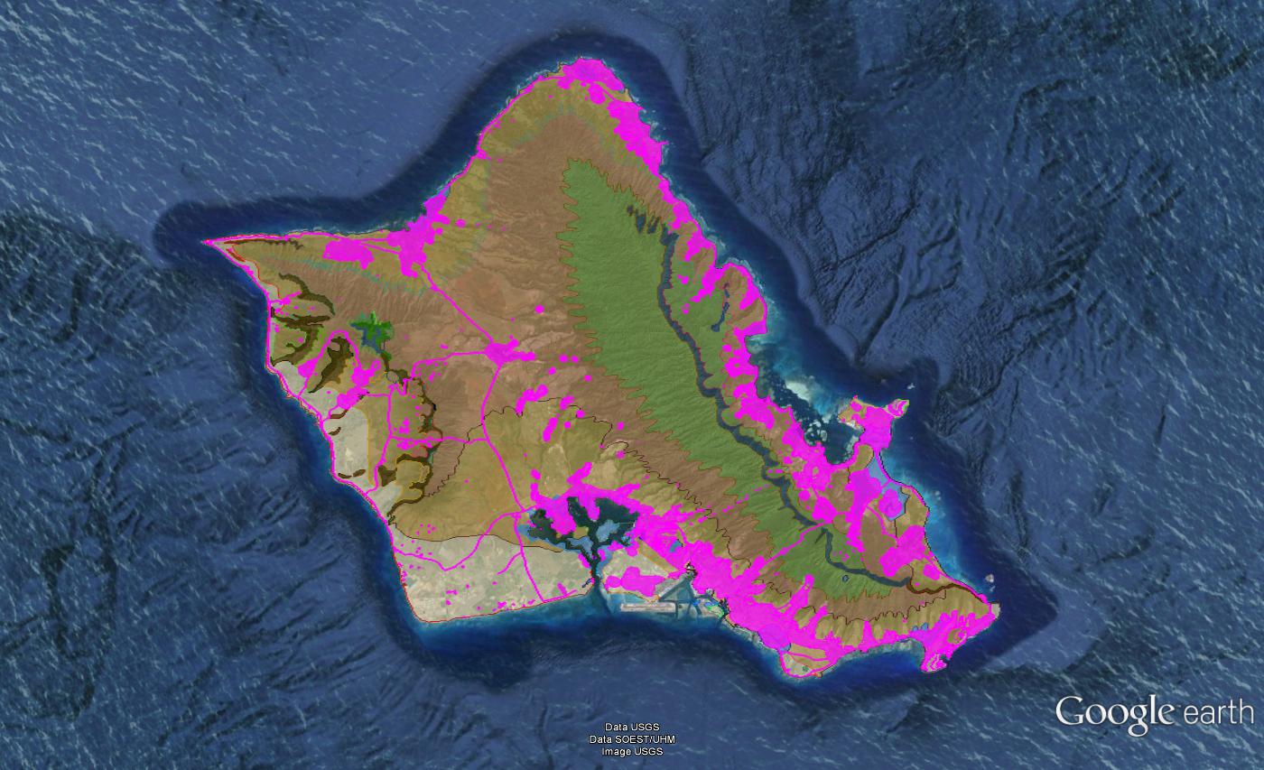 Not Completely Settled | Images of Old Hawaiʻi