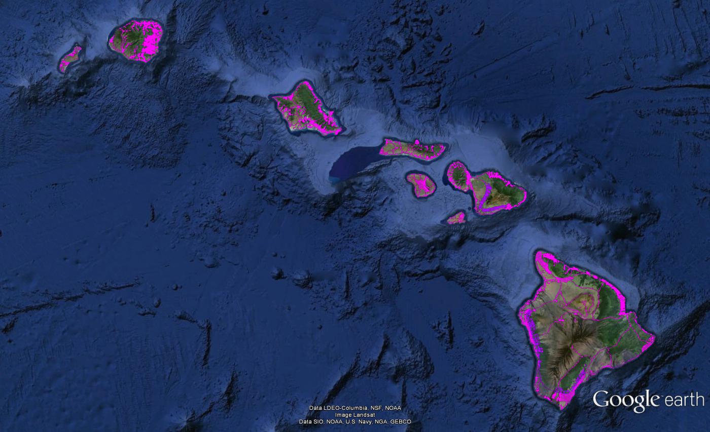 Loyalty to Locality | Images of Old Hawaiʻi