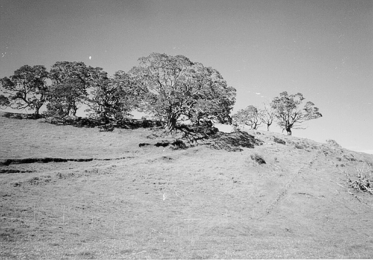 Mānā – Laumai‘a – Keanakolu Trail/Road | Images of Old Hawaiʻi