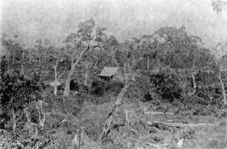 Mānā – Laumai‘a – Keanakolu Trail/Road | Images of Old Hawaiʻi