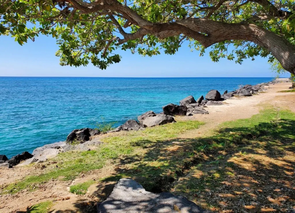 Puaka‘ilima | Images of Old Hawaiʻi