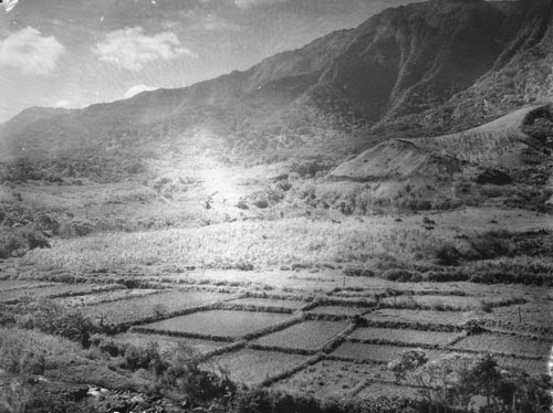 He ‘Āina Momona ‘O Punaluʻu | Images of Old Hawaiʻi
