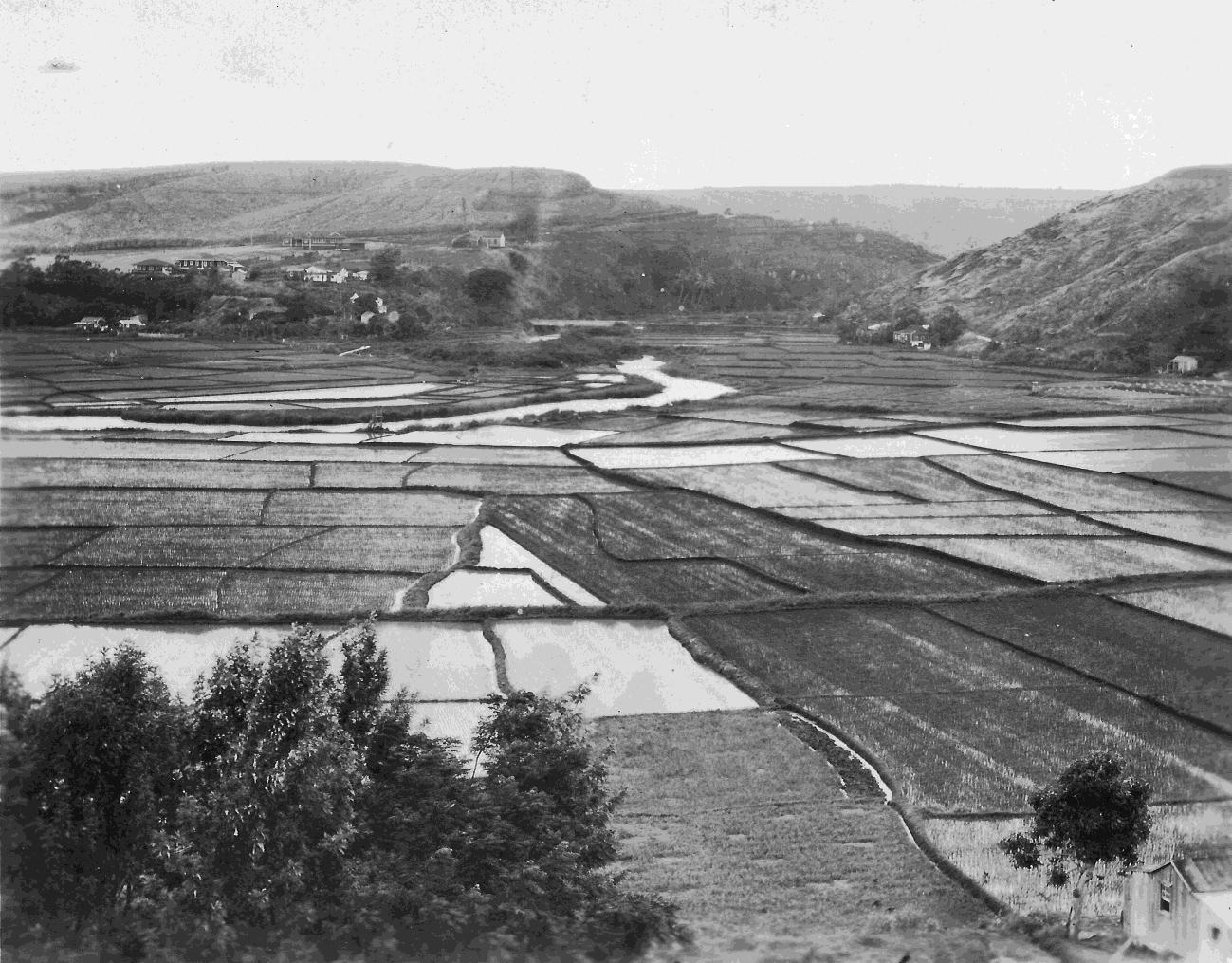 Anahola | Images of Old Hawaiʻi