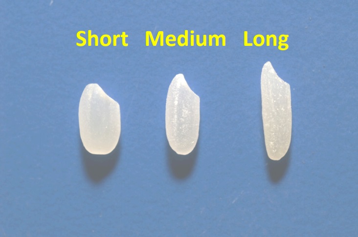 Calrose | Images of Old Hawaiʻi