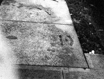 Historic Curbs and Sidewalks | Images of Old Hawaiʻi