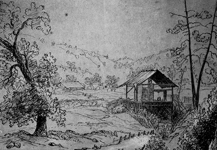 Sutter’s Hawaiians | Images of Old Hawaiʻi