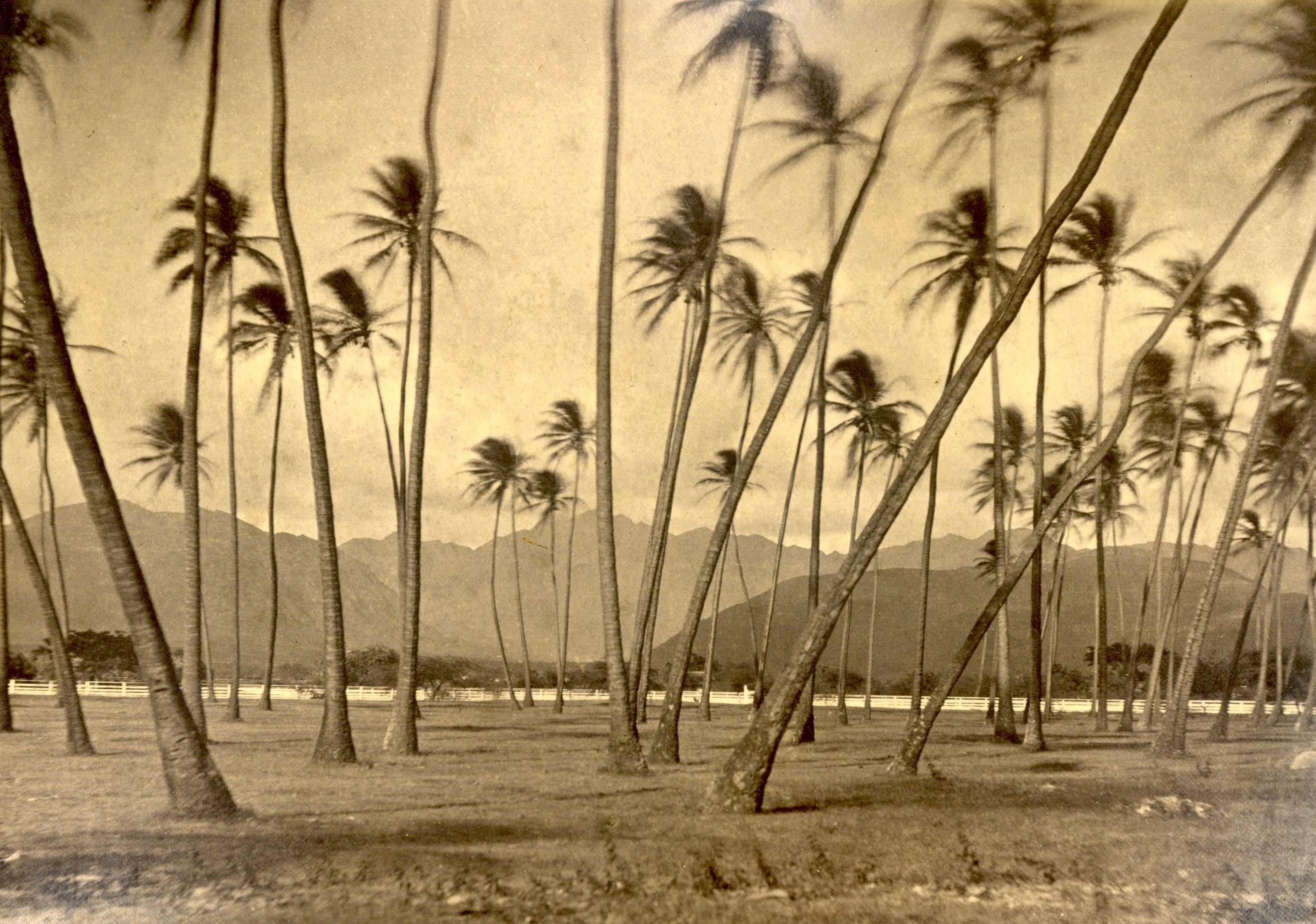 Territorial Fair Grounds | Images of Old Hawaiʻi