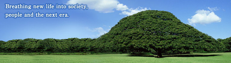 Hitachi Tree | Images of Old Hawaiʻi