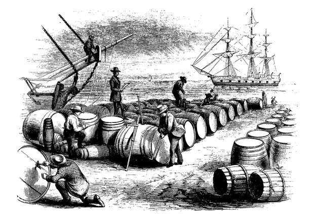 Whaling | Images of Old Hawaiʻi
