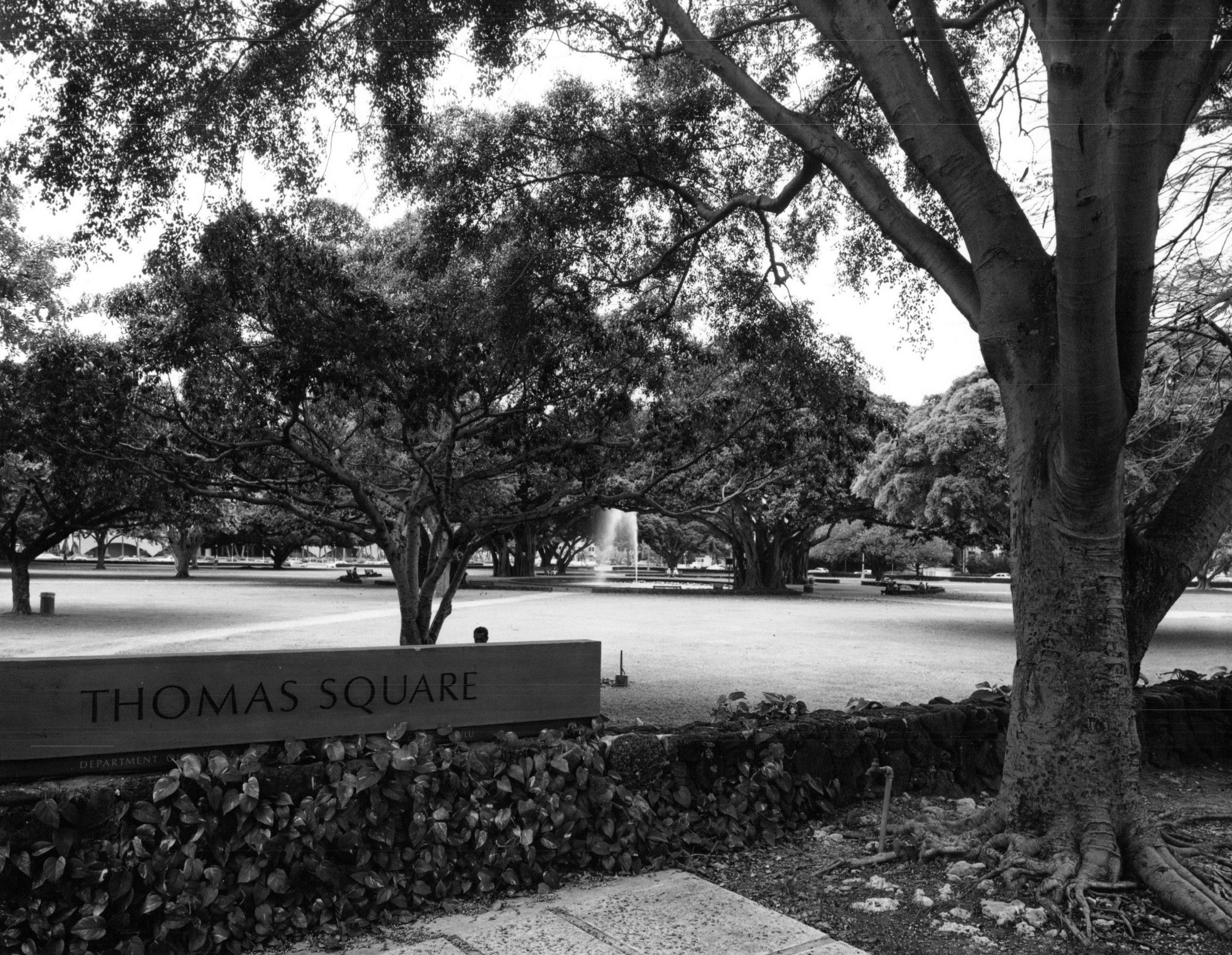 Thomas Square | Images of Old Hawaiʻi