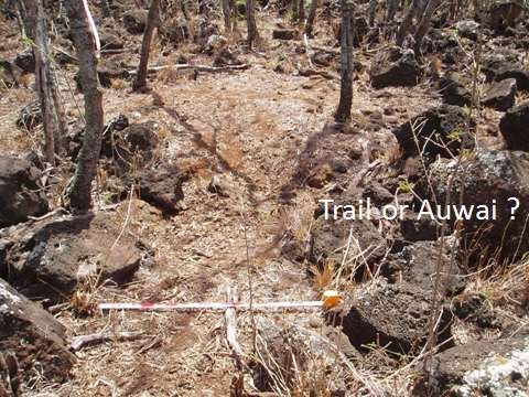 Kōloa Field System | Images of Old Hawaiʻi
