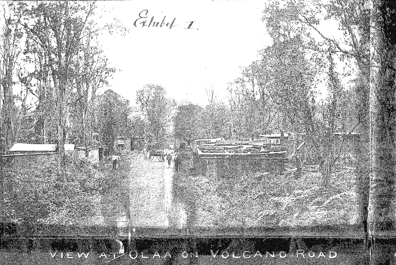 What happened to ʻOlaʻa? | Images of Old Hawaiʻi