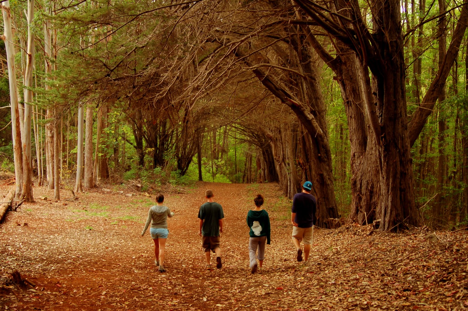 Waihou Spring | Images of Old Hawaiʻi