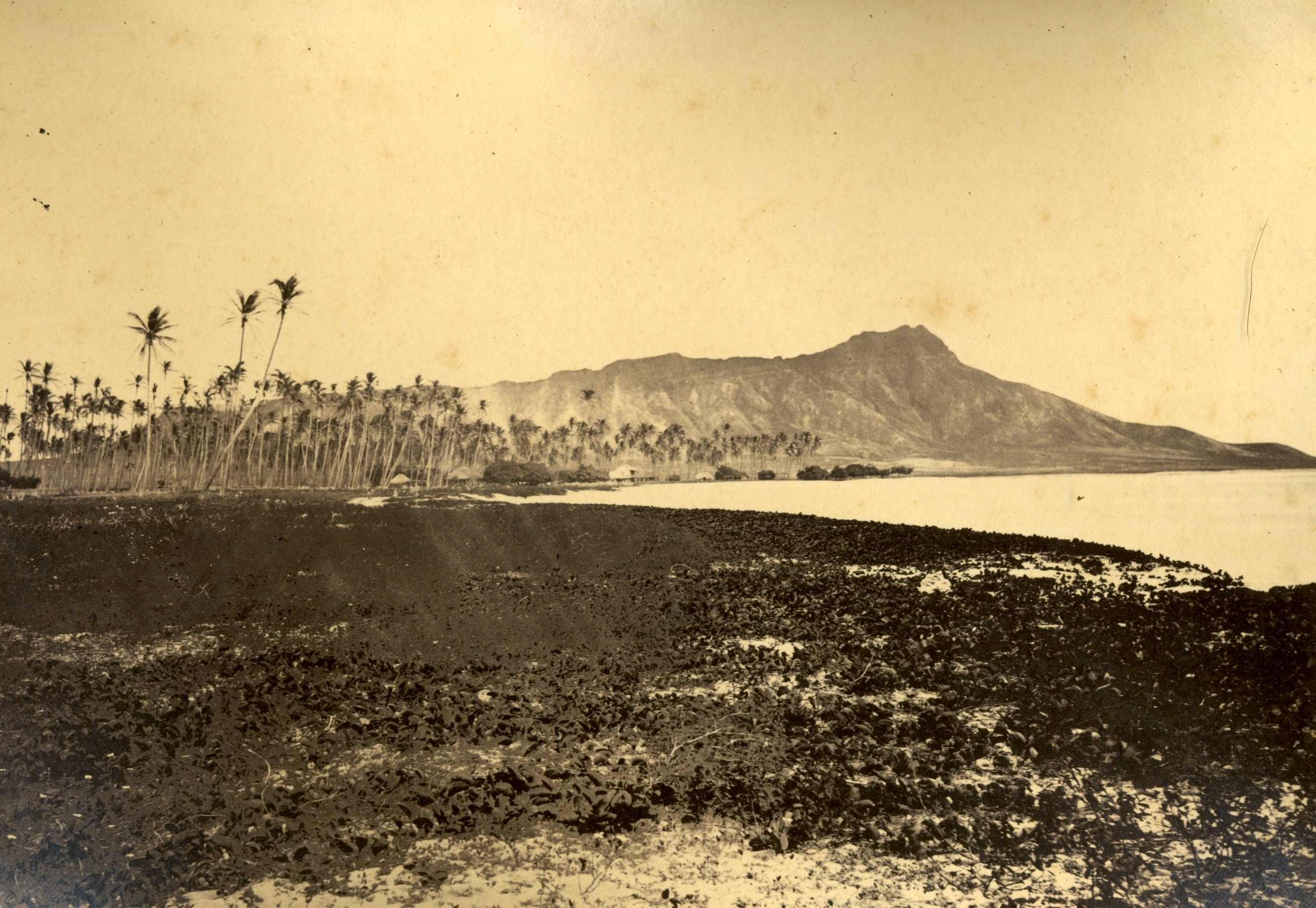 Before the Ala Wai | Images of Old Hawaiʻi