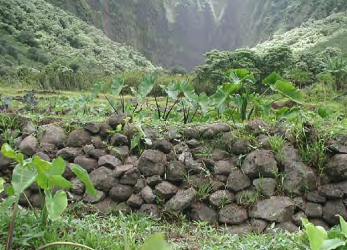 Ancient Agricultural Production Intensification | Images of Old Hawaiʻi