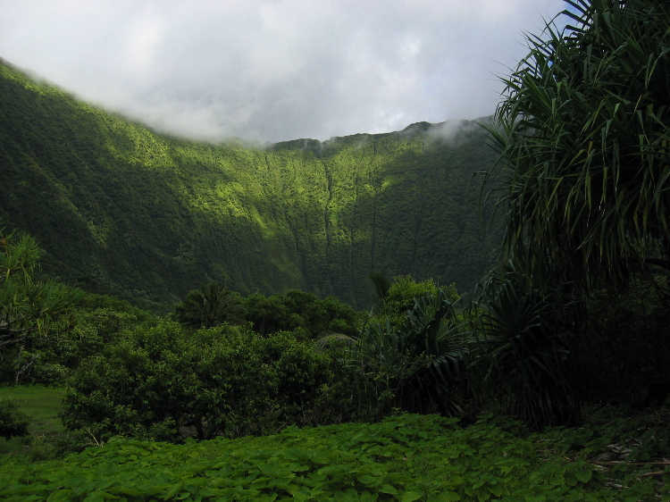 Wailau | Images of Old Hawaiʻi