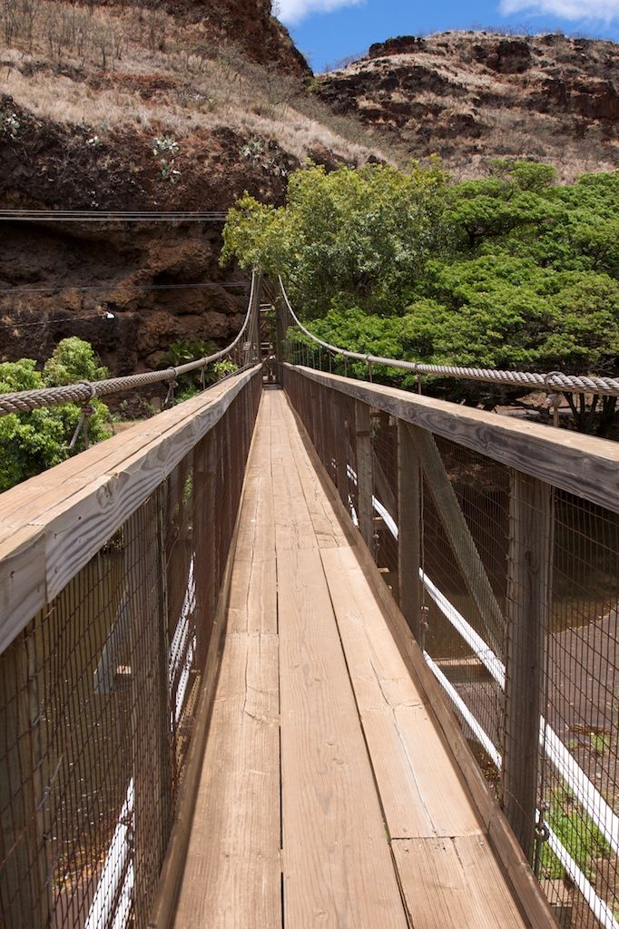Pedestrian Suspension Bridges | Images of Old Hawaiʻi