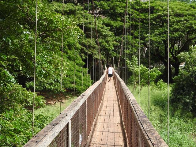 Pedestrian Suspension Bridges | Images of Old Hawaiʻi