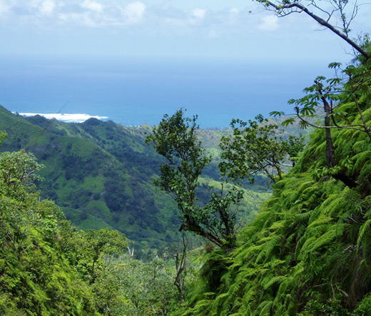 Waipā | Images of Old Hawaiʻi