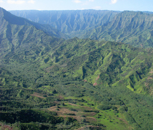 Waipā | Images of Old Hawaiʻi