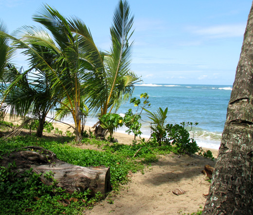 Waipā | Images of Old Hawaiʻi