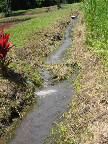 Settlement & Agricultural Development | Images of Old Hawaiʻi