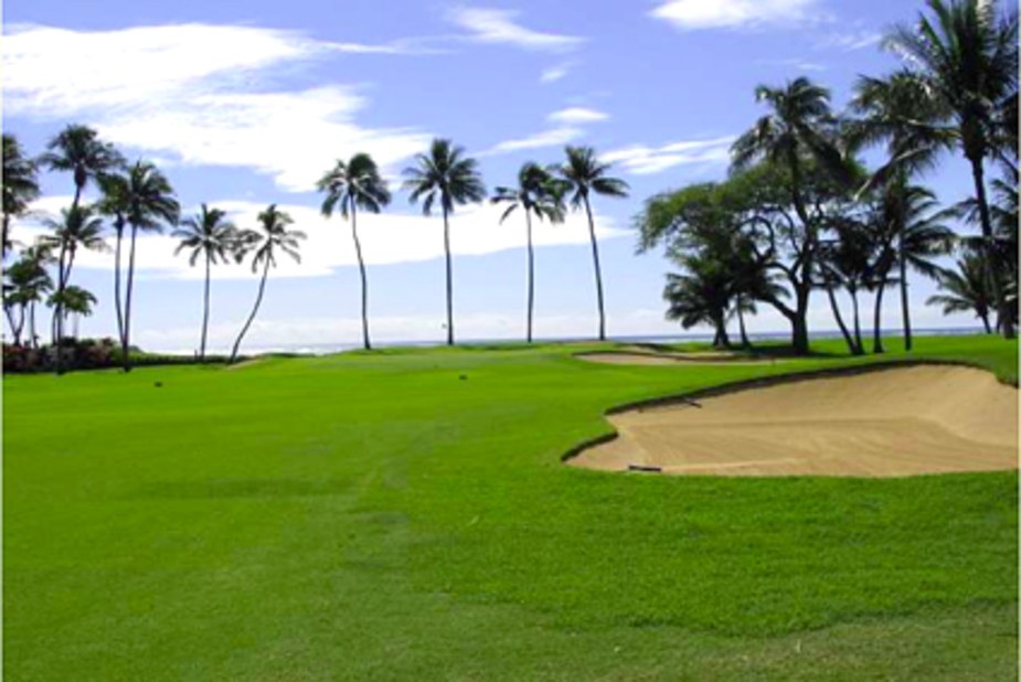 Big W | Images of Old Hawaiʻi