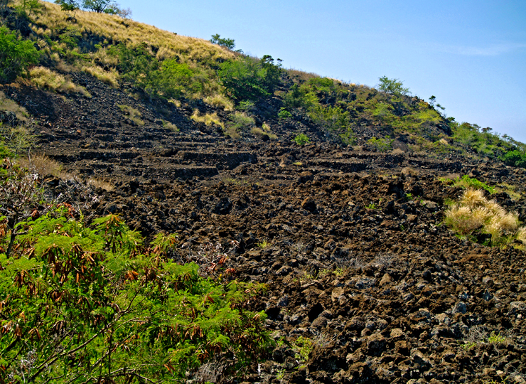 Kekuaokalani and the Kapu | Images of Old Hawaiʻi