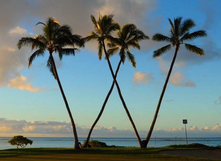 Big W | Images of Old Hawaiʻi