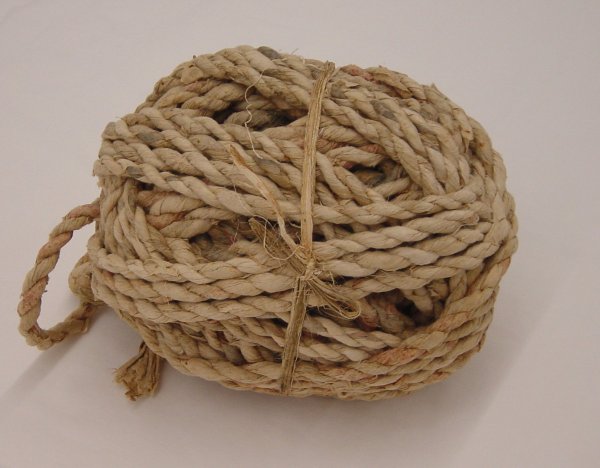 Wauke | Images of Old Hawaiʻi